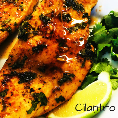 Cilantro Lime Chicken with Spicy Honey - Cooks Well With Others