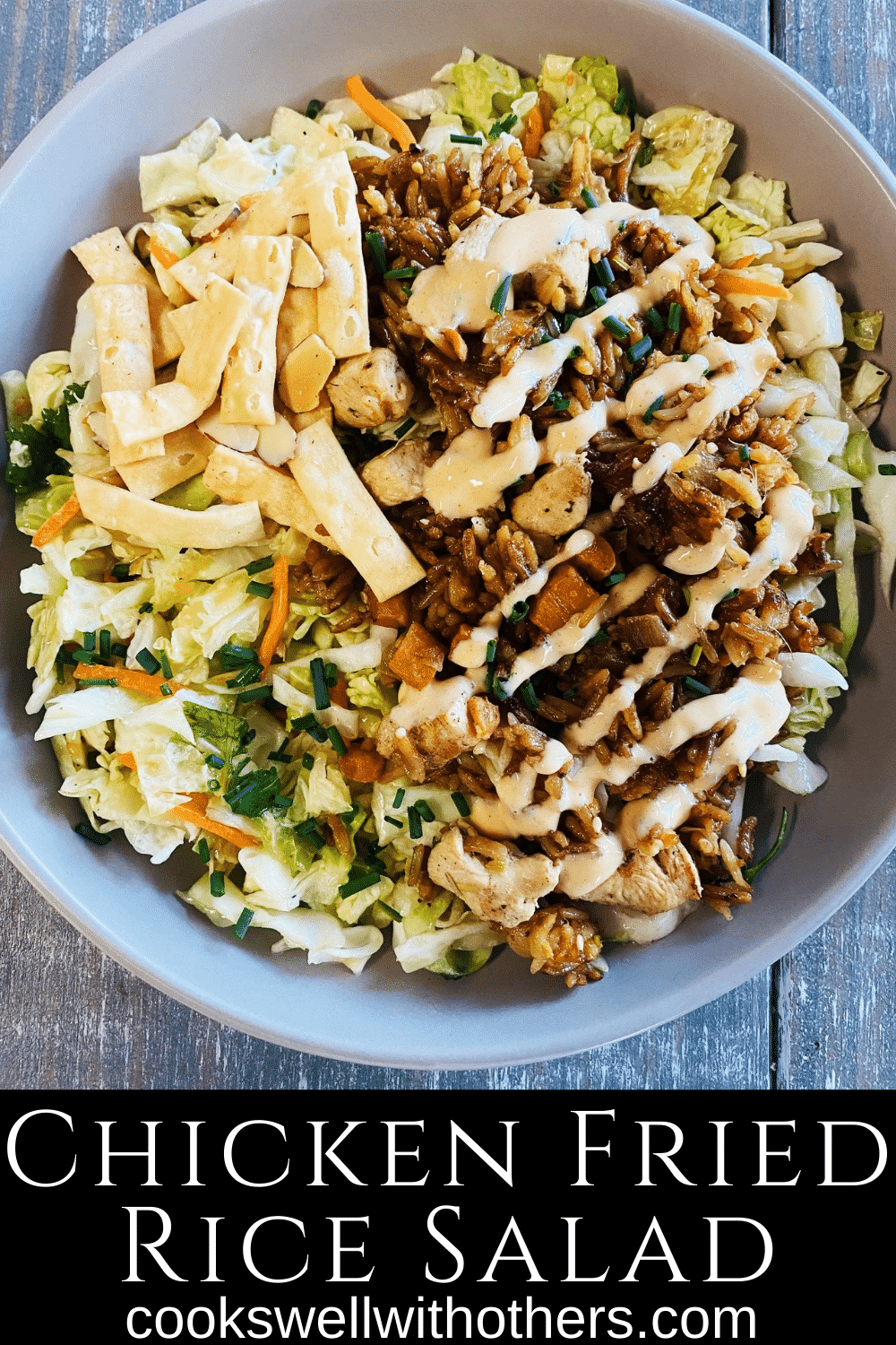 Chicken Fried Rice Salad - Cooks Well With Others