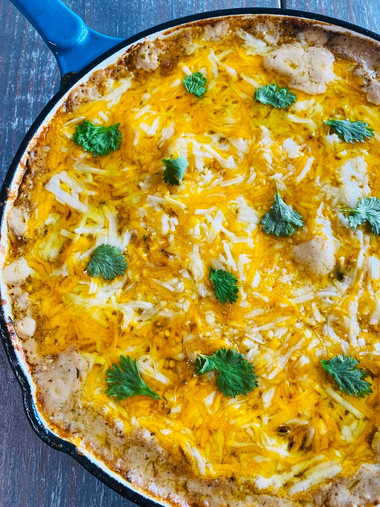 Caribbean Jerk Chicken Dip - Cooks Well With Others