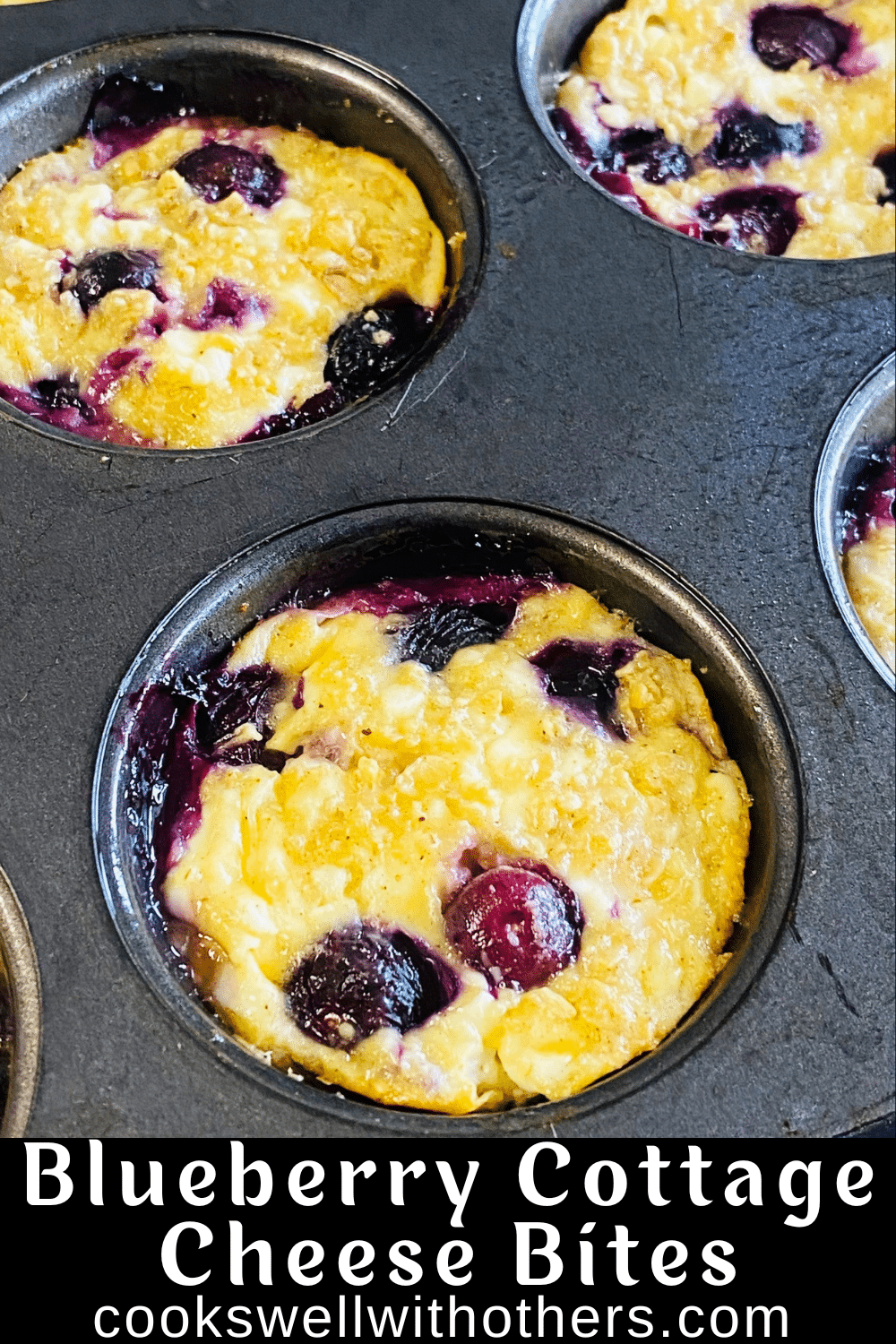 Blueberry Cottage Cheese Bites - Cooks Well With Others