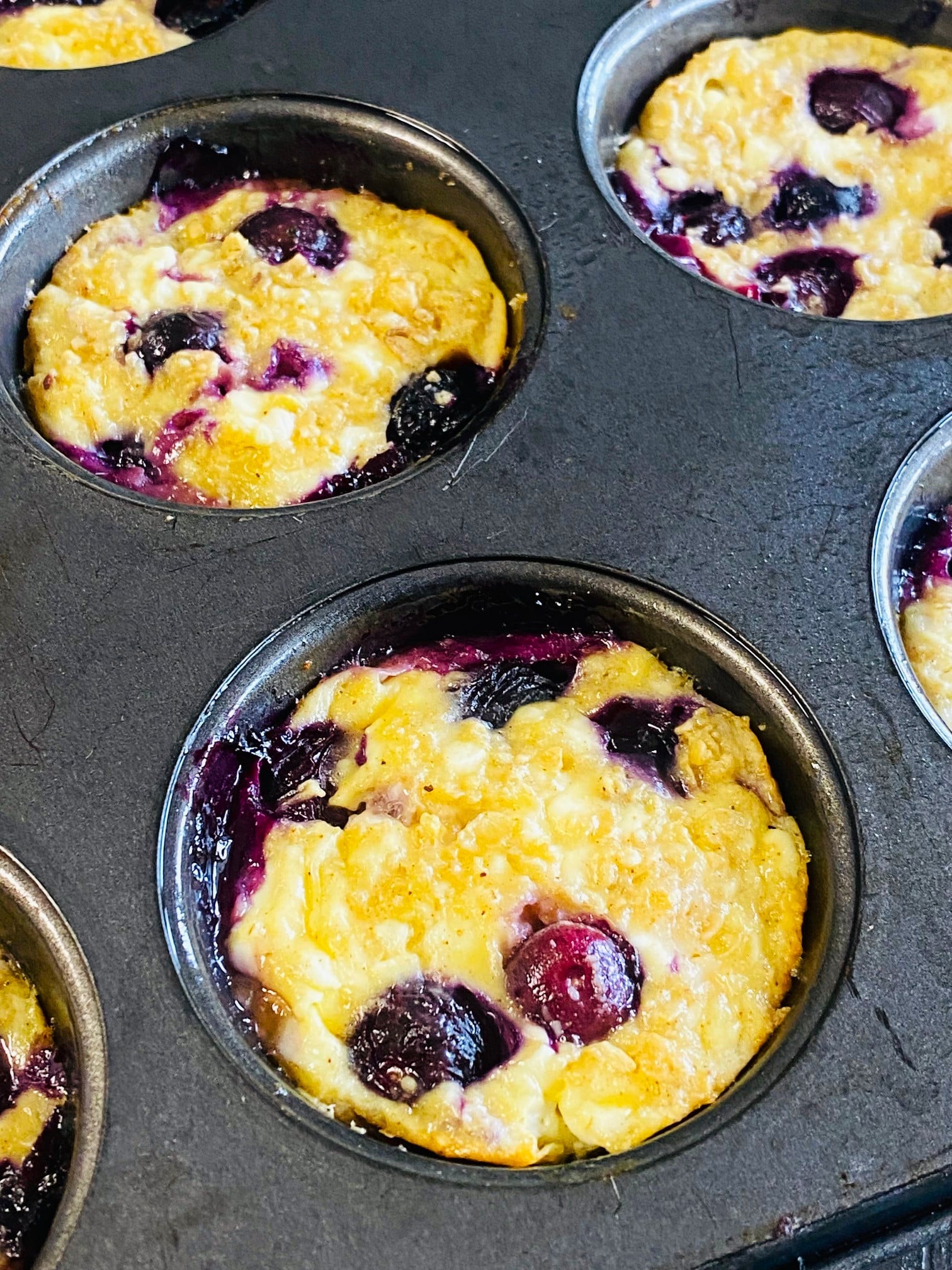 Blueberry Cottage Cheese Bites - Cooks Well With Others